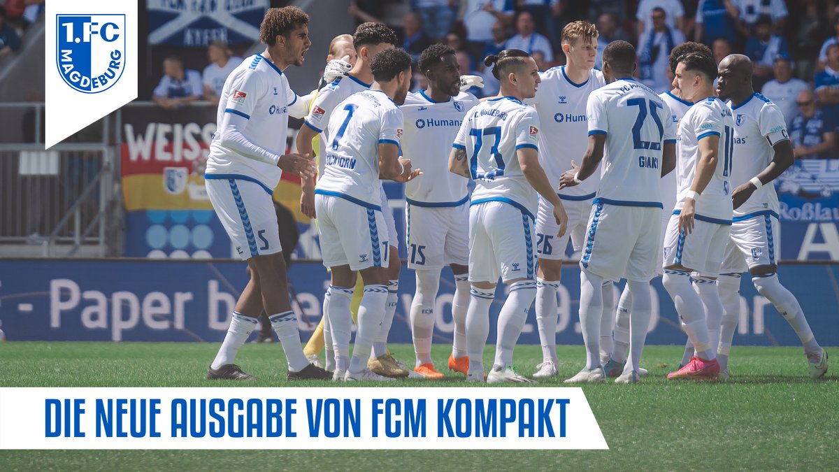FCM Kompakt: 1. FC Magdeburg