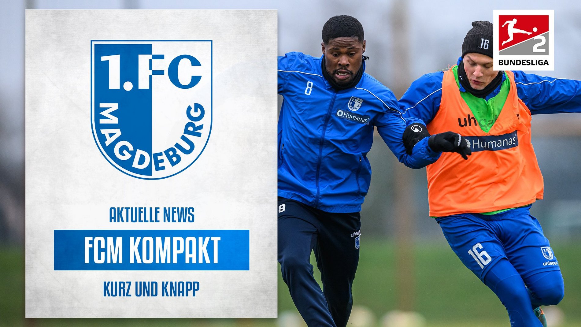 FCM Kompakt: 1. FC Magdeburg