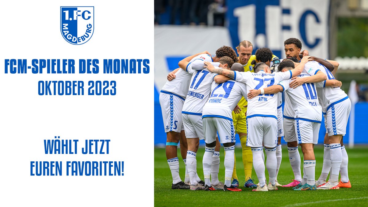 FCM-Spieler des Monats Oktober 2023 gesucht: 1. FC Magdeburg