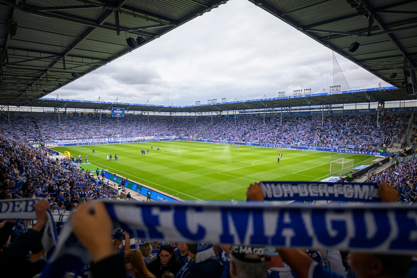 Fans: 1. FC Magdeburg
