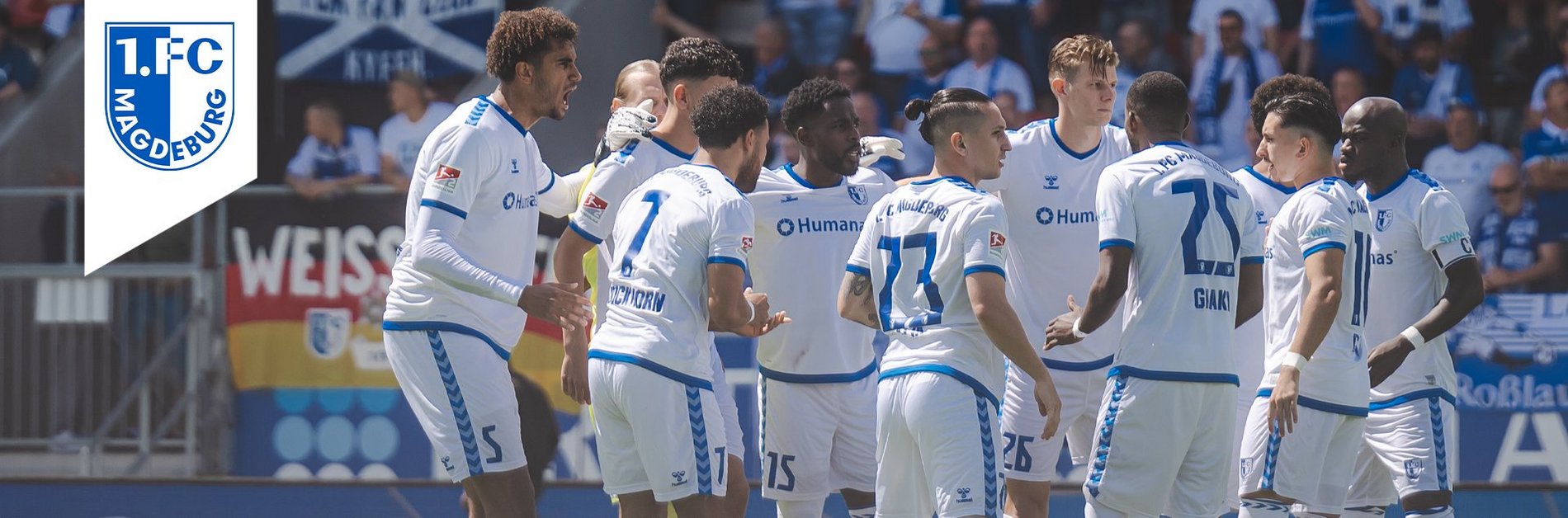 FCM Kompakt: 1. FC Magdeburg
